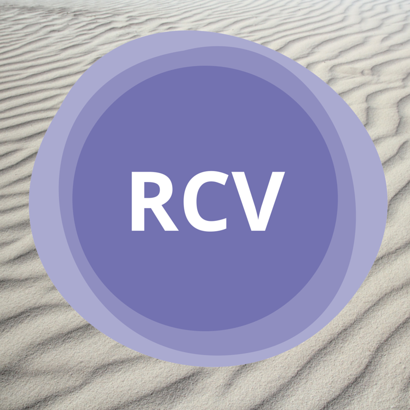 Release Control & Validation (RCV) - Teorema
